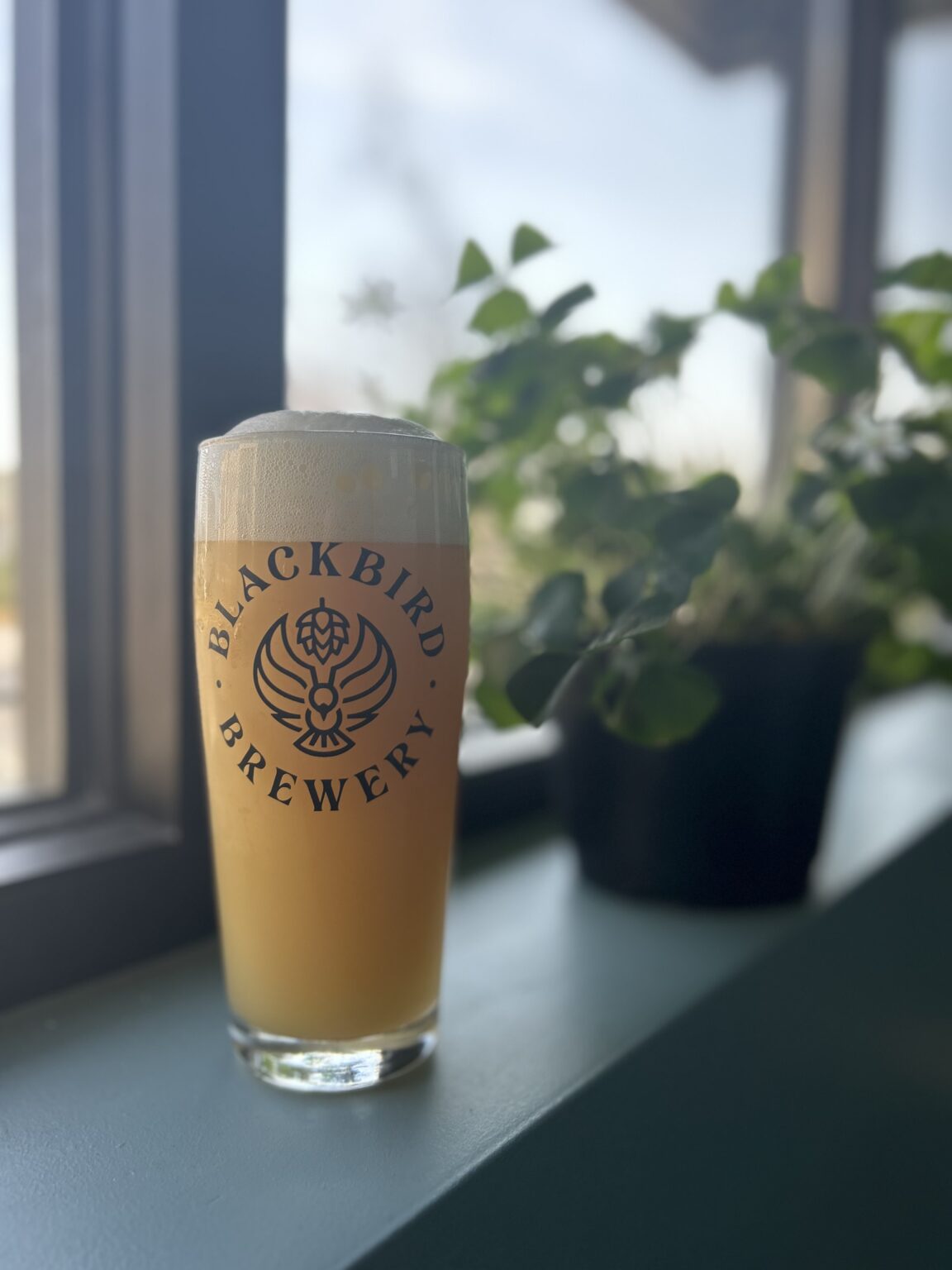 What Makes Citra Hops So Special? - Blackbird Brewery