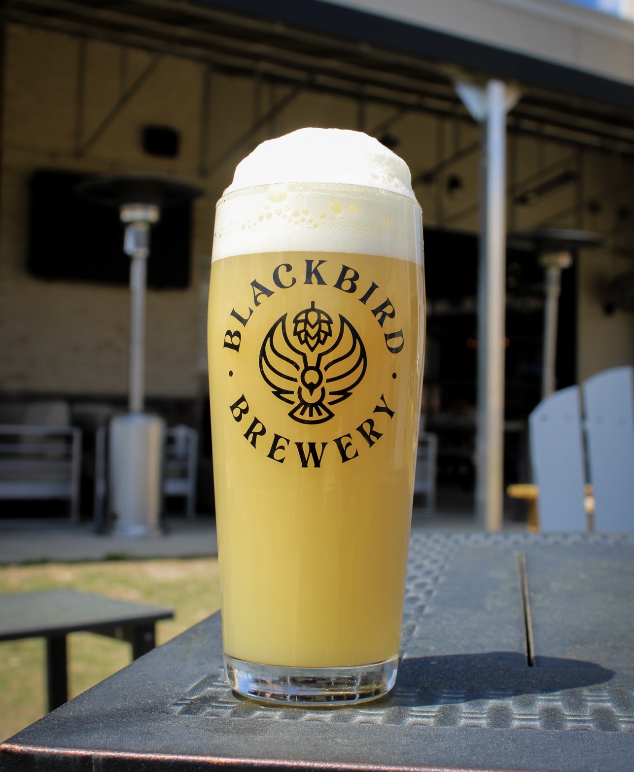 Yellow Submarine Hazy IPA - Blackbird Brewery