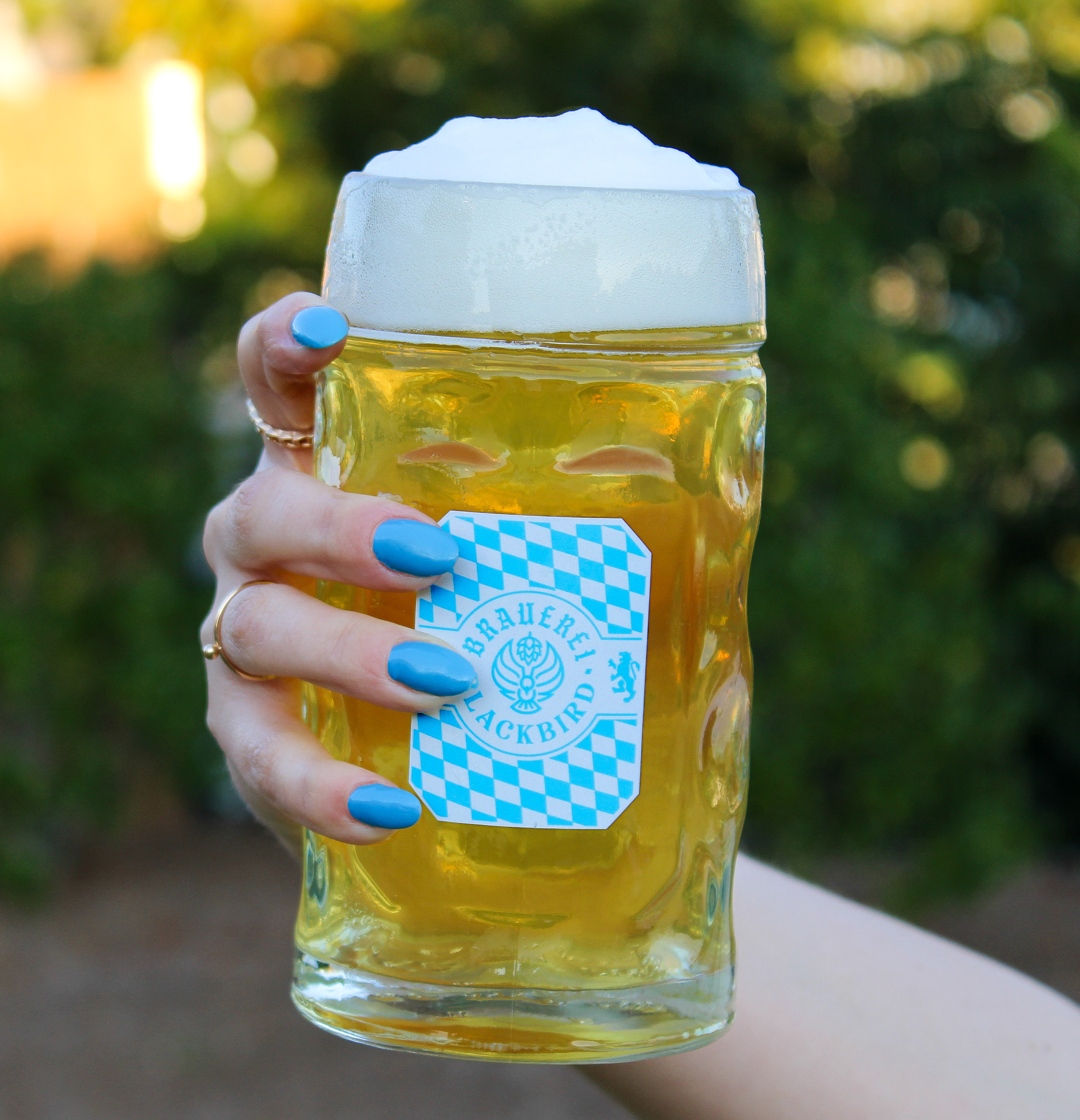 Tuxedo at a Pool Party – German Pilsner - Blackbird Brewery