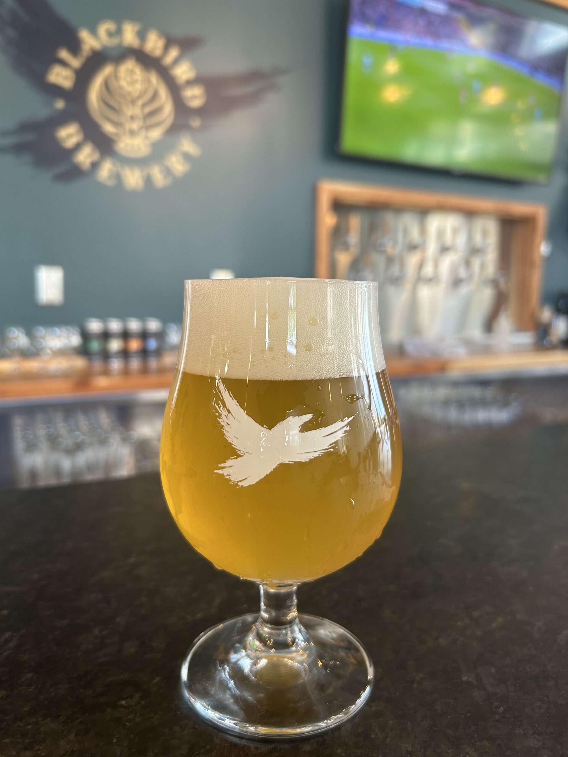 Local Beer Wake Forest, Raleigh, NC - Blackbird Brewery