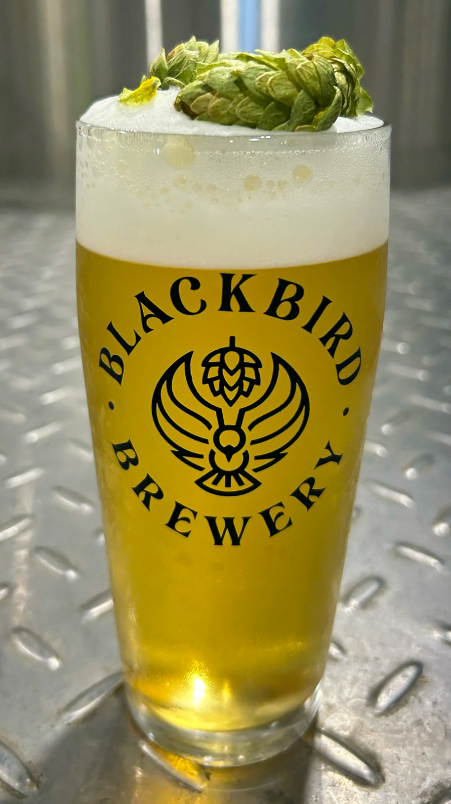 Strata Bing Strata Boom – Fresh Hop IPA - Blackbird Brewery