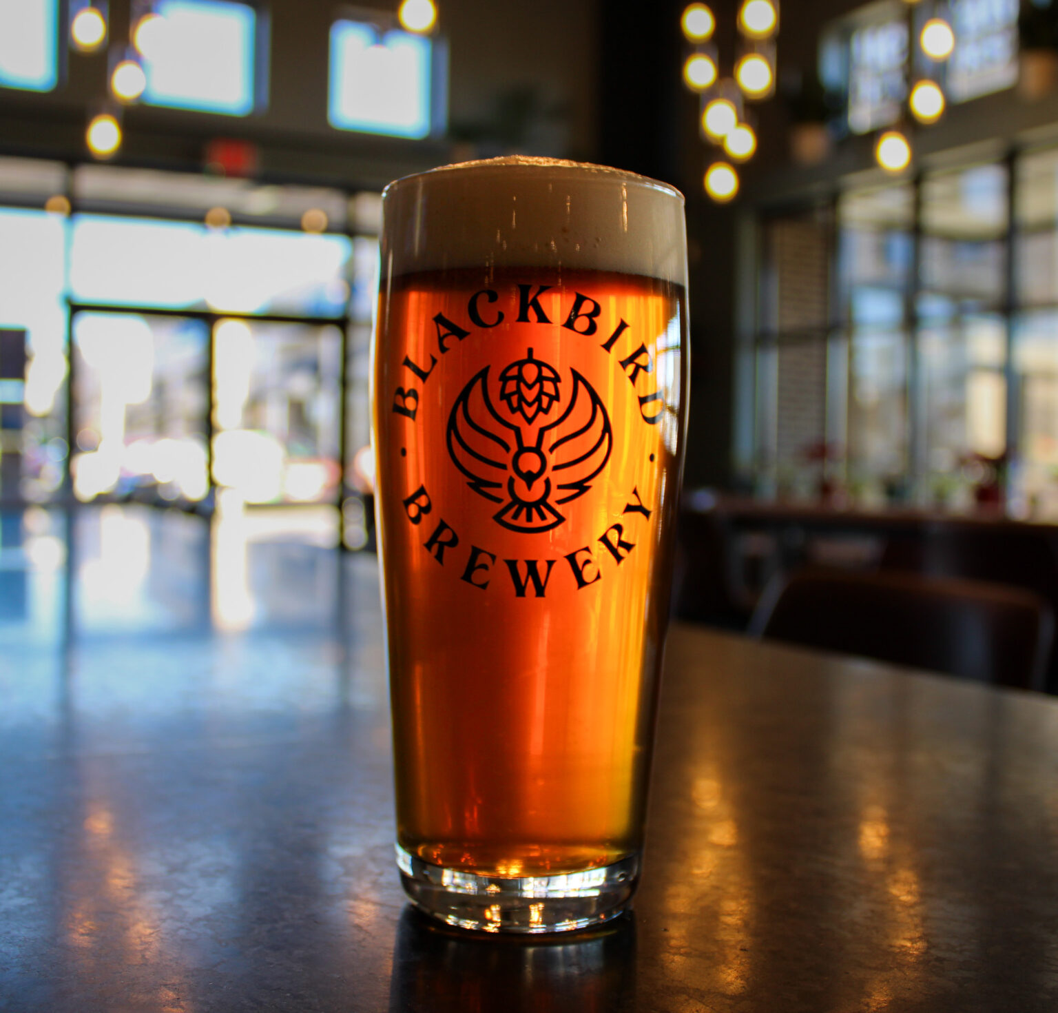 Local Beer Wake Forest, Raleigh, NC - Blackbird Brewery