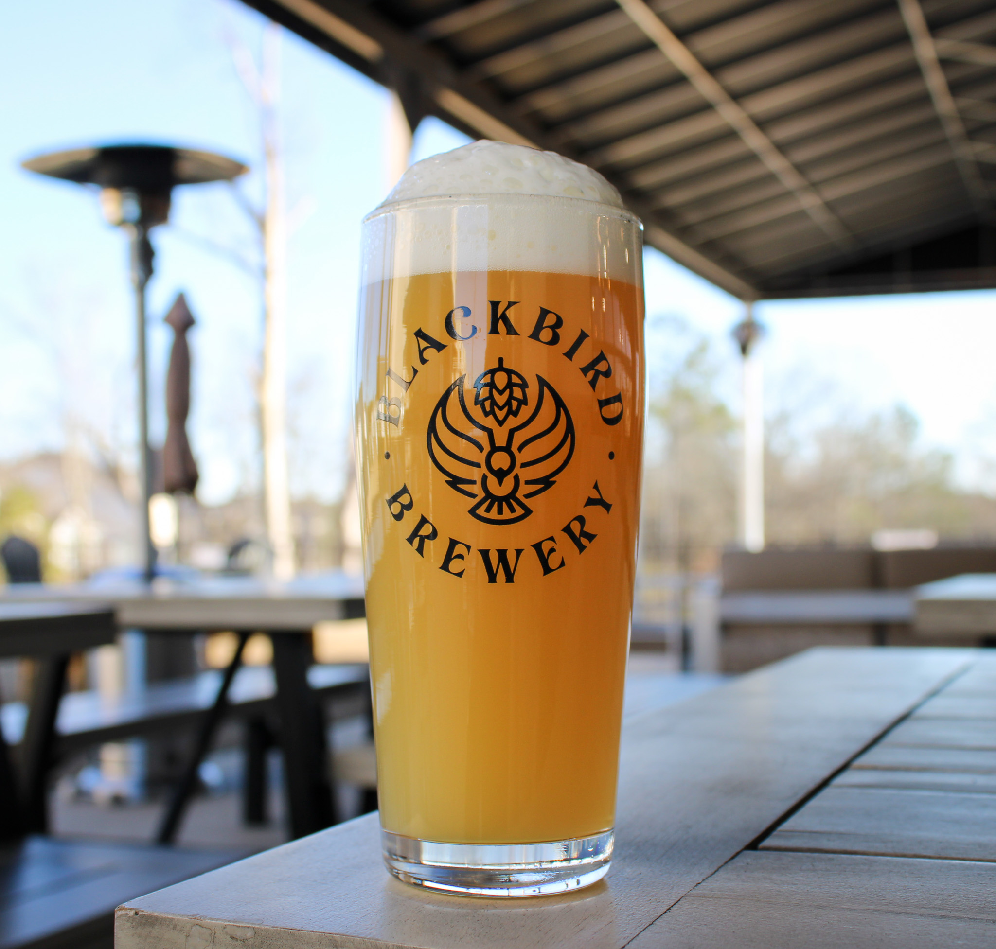 Canary M. Burns – Hazy IPA - Blackbird Brewery