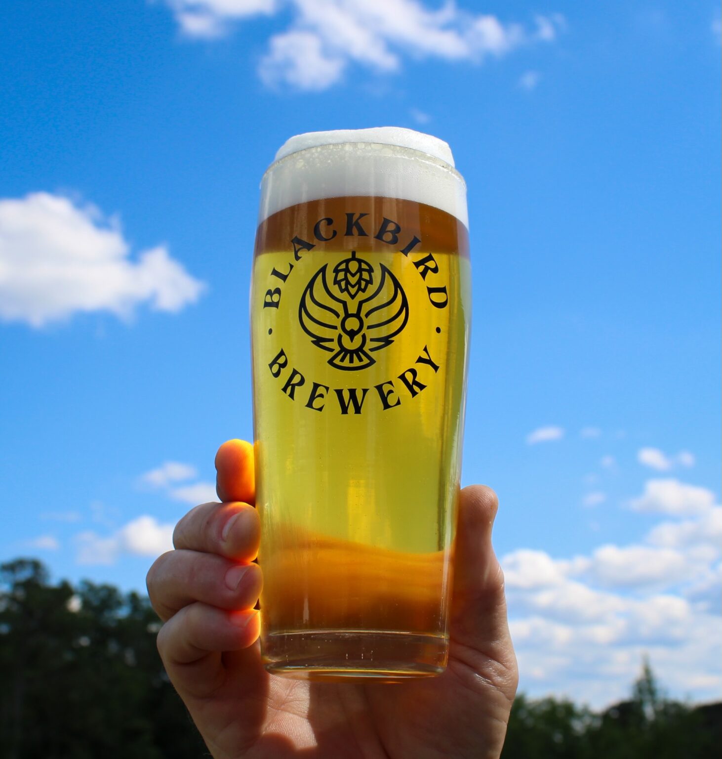 Dayman: A Revolutionary New Clear IPA - Blackbird Brewery