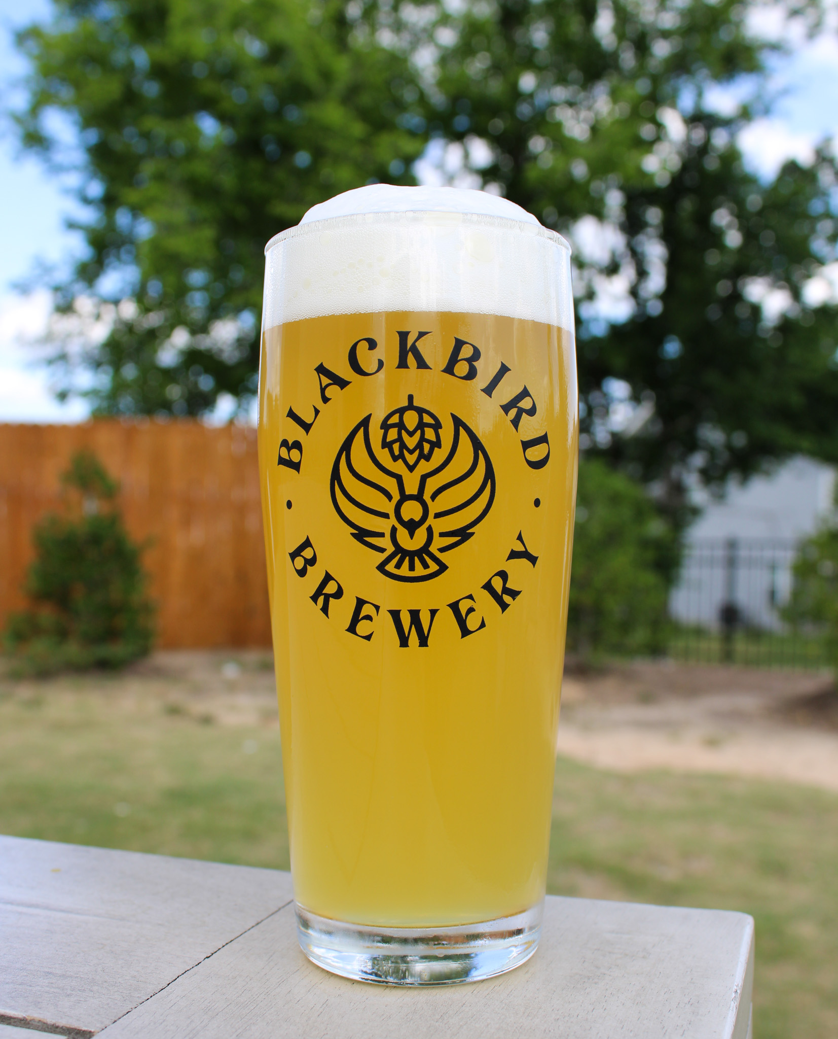 Local Beer Wake Forest, Raleigh, NC - Blackbird Brewery