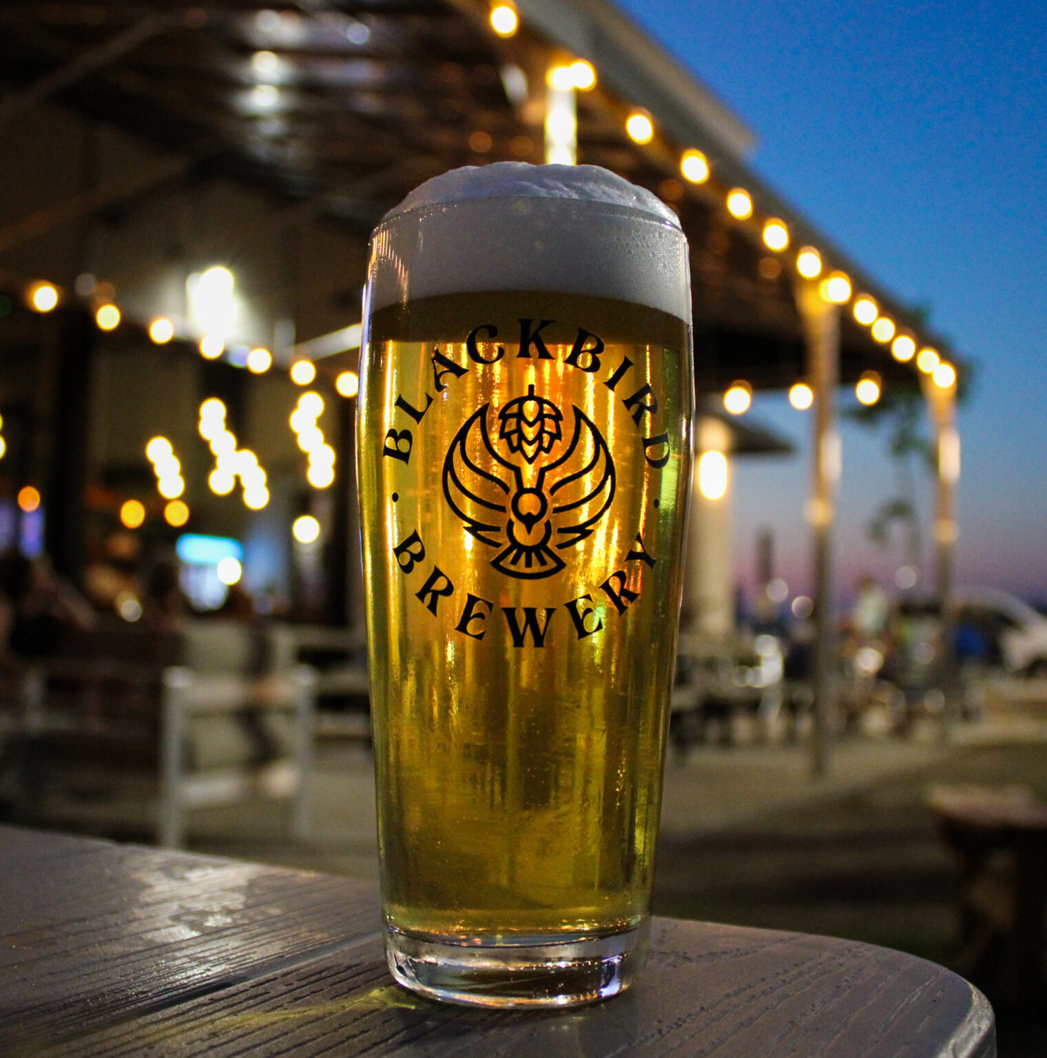 Walkabout Creek - W Coast Aussie Pale Ale- Blackbird Brewery