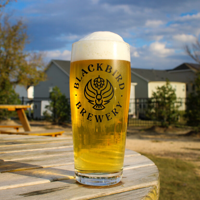 Bro Montana – New Zealand Pale Ale - Blackbird Brewery