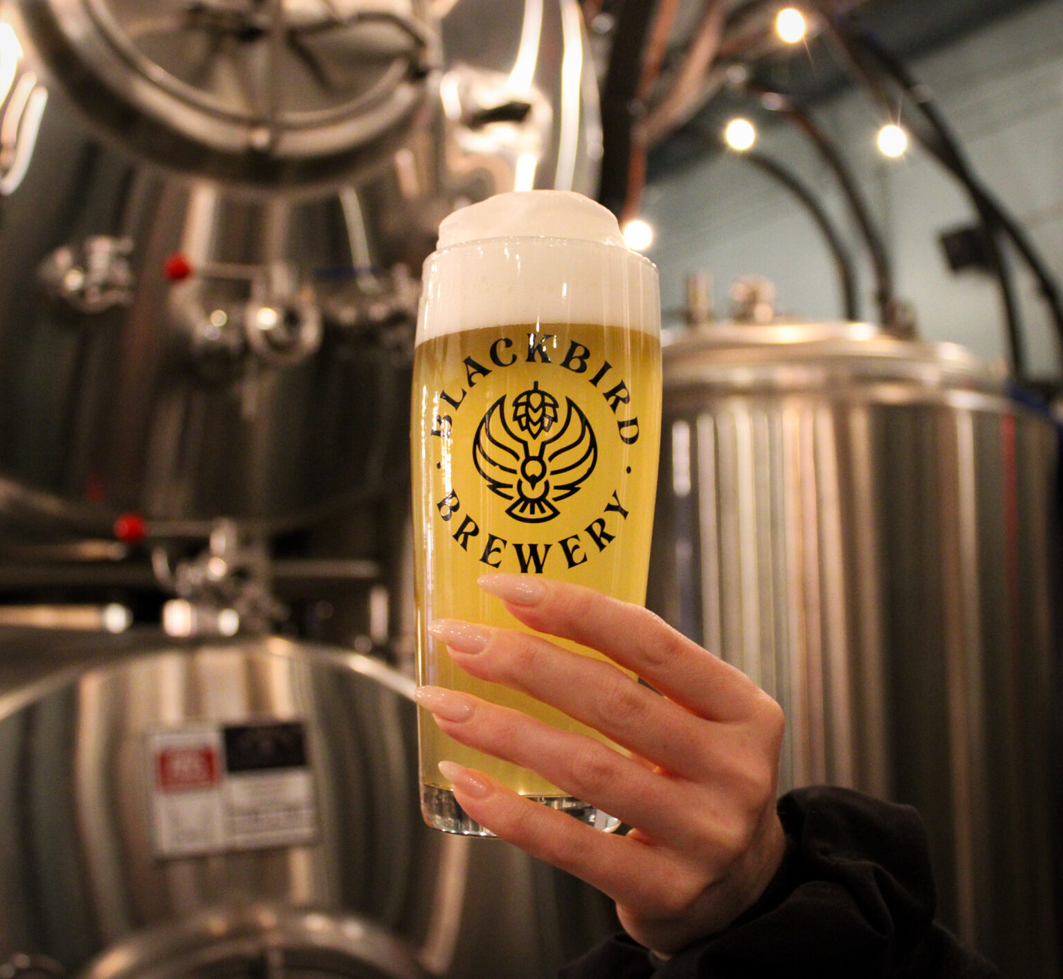 Cellar Dweller – Kellerbier - Blackbird Brewery