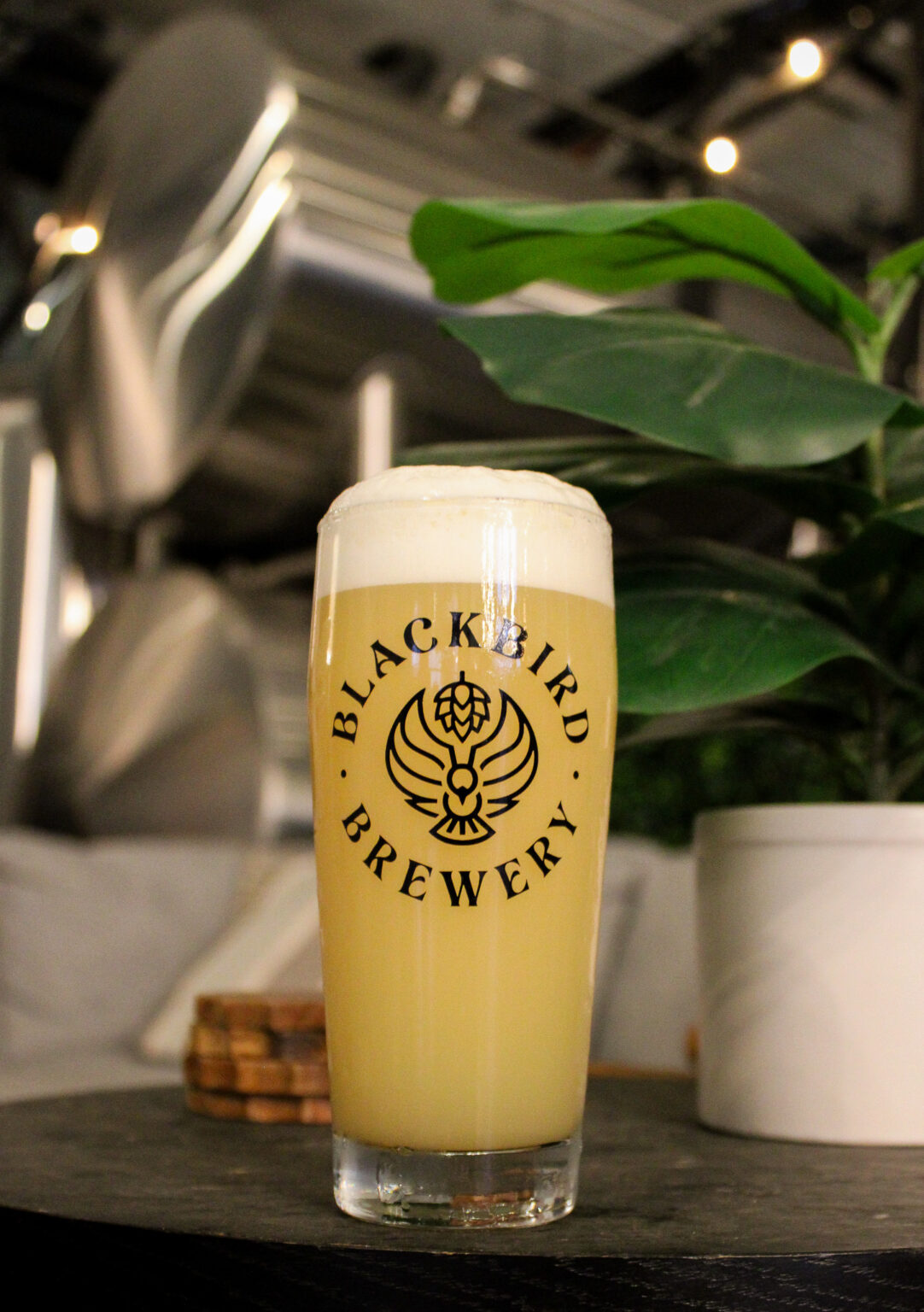 Beer is Hard – Hazy IPA - Blackbird Brewery